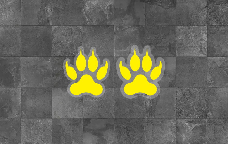 Small Cat Paw Print Indoor Floor Stickers / Graphics