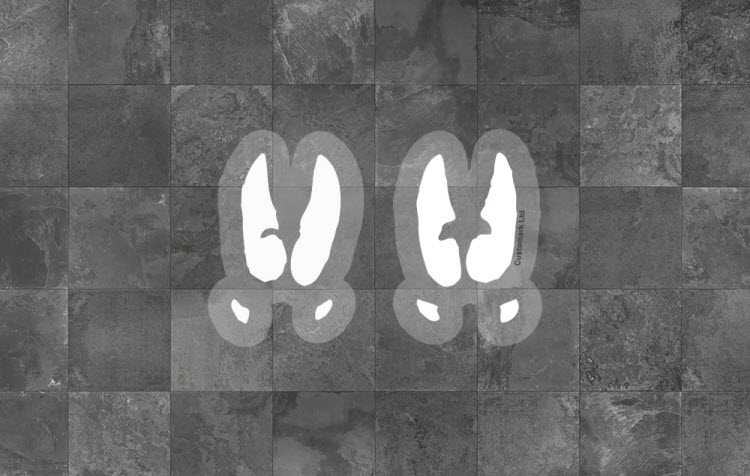 Hoof Print Indoor Floor Stickers / Graphics