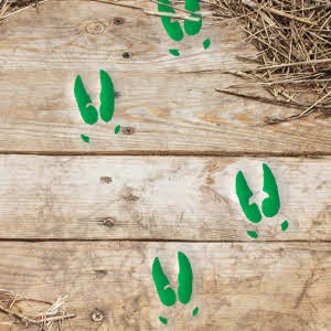 Hoof Print Indoor Floor Stickers / Graphics