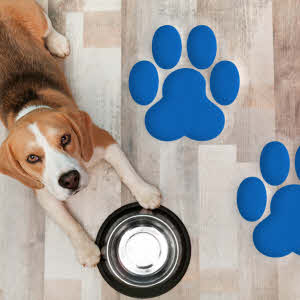Large Dog Paw Print Indoor Floor Stickers / Graphics